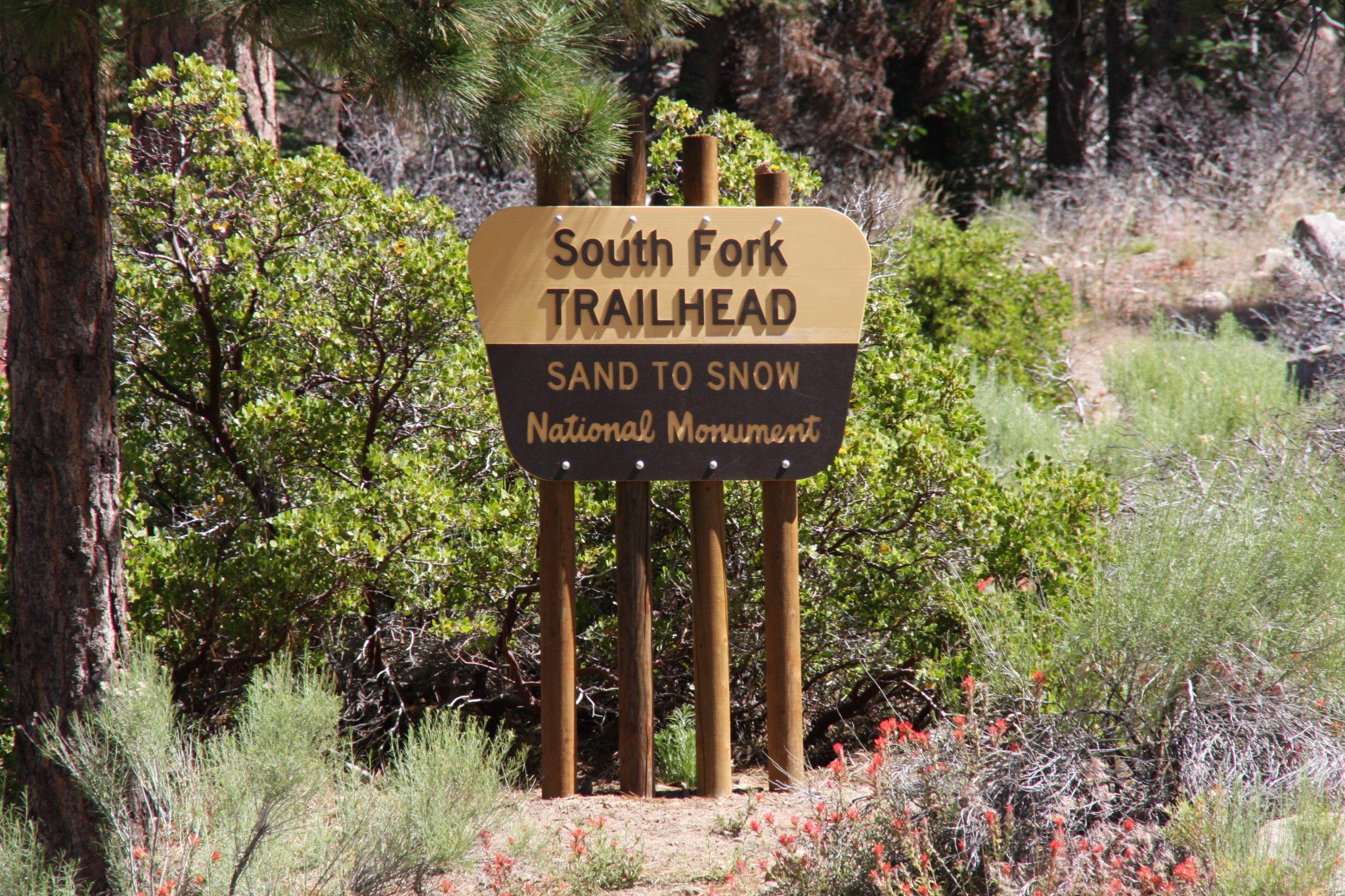 About – Good Shepherd Bible Camp